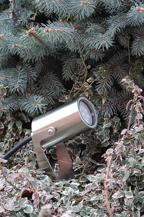 Backspin plus Inverlight